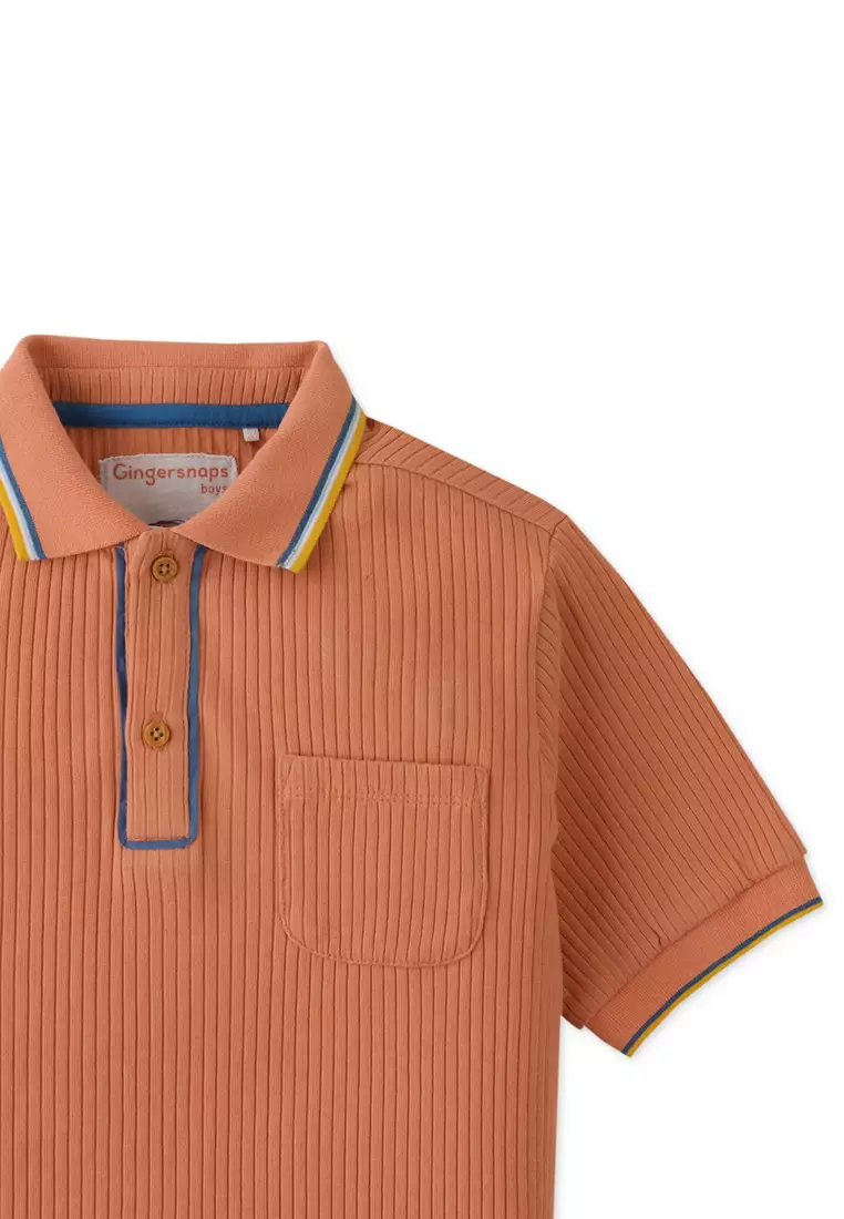 Buy Gingersnaps Boys Retro Stripe Polo Shirt 2024 Online | ZALORA Philippines