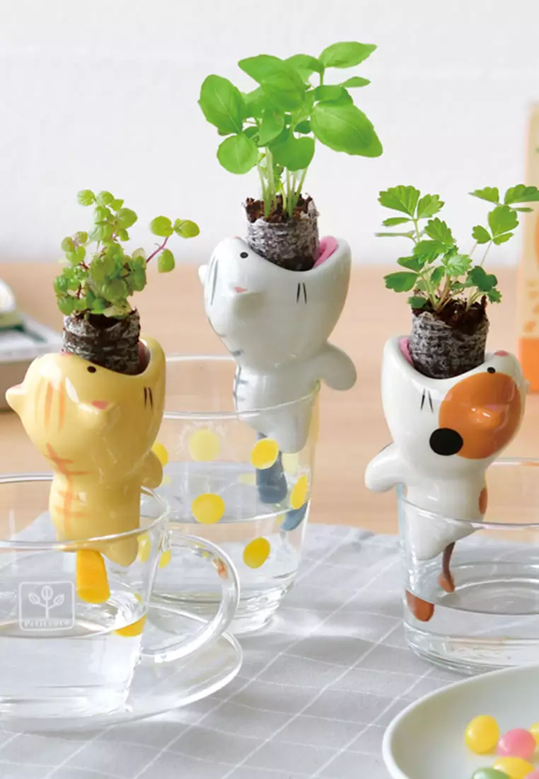 Seishin Seishin PEcoPon collection - Calico Cat (wild strawberry) 2023 | Buy Seishin Online ...