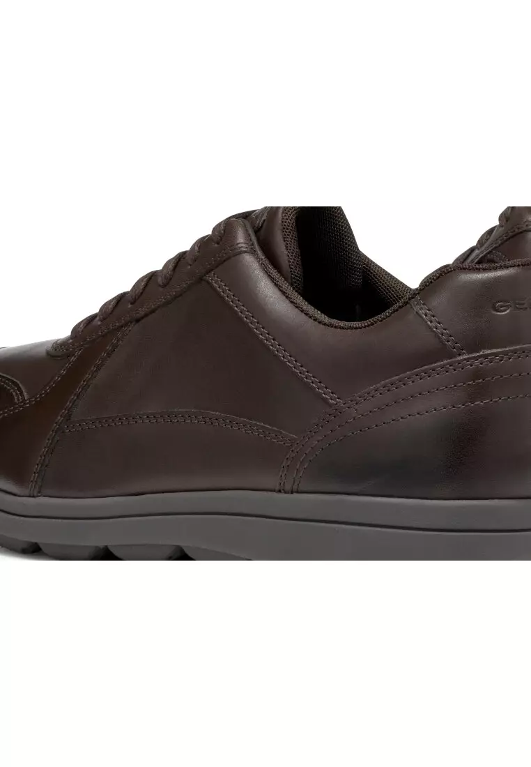 Buy Geox GEOX Men Spherica EC12 Leather Shoes - Coffee U45GRA-00043 ...