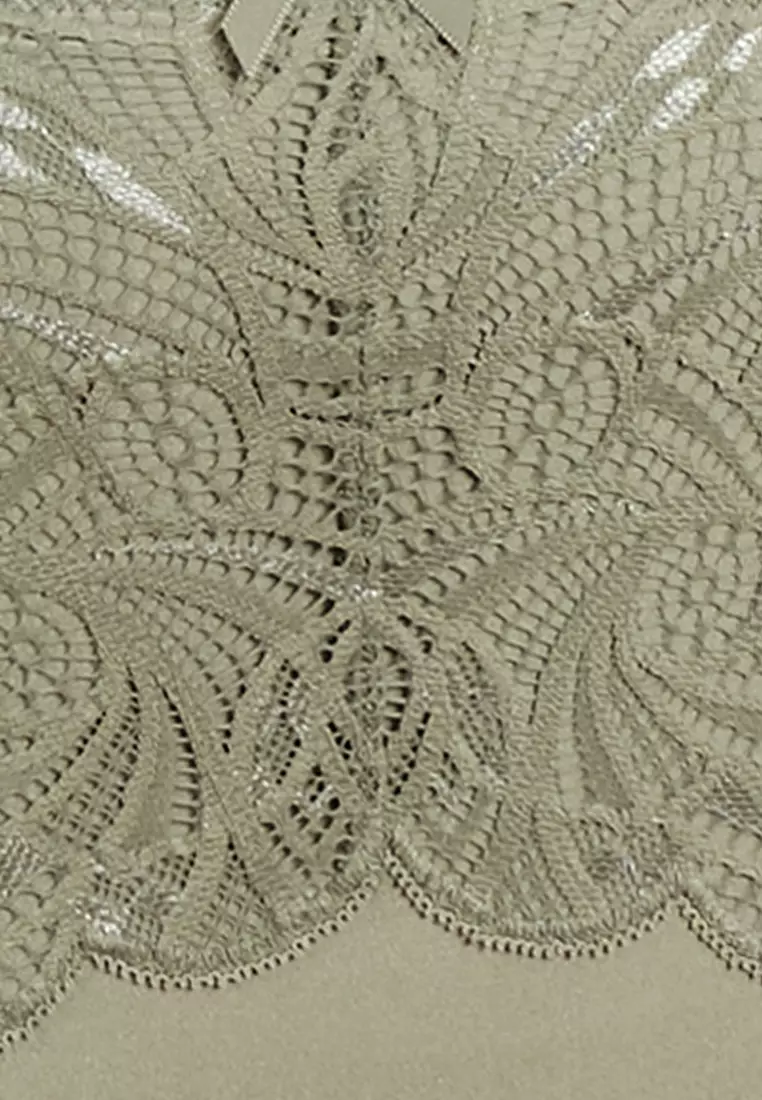 Buy Sans Complexe Ariane Lace & Microfiber High Waist Brief 2025 Online ...