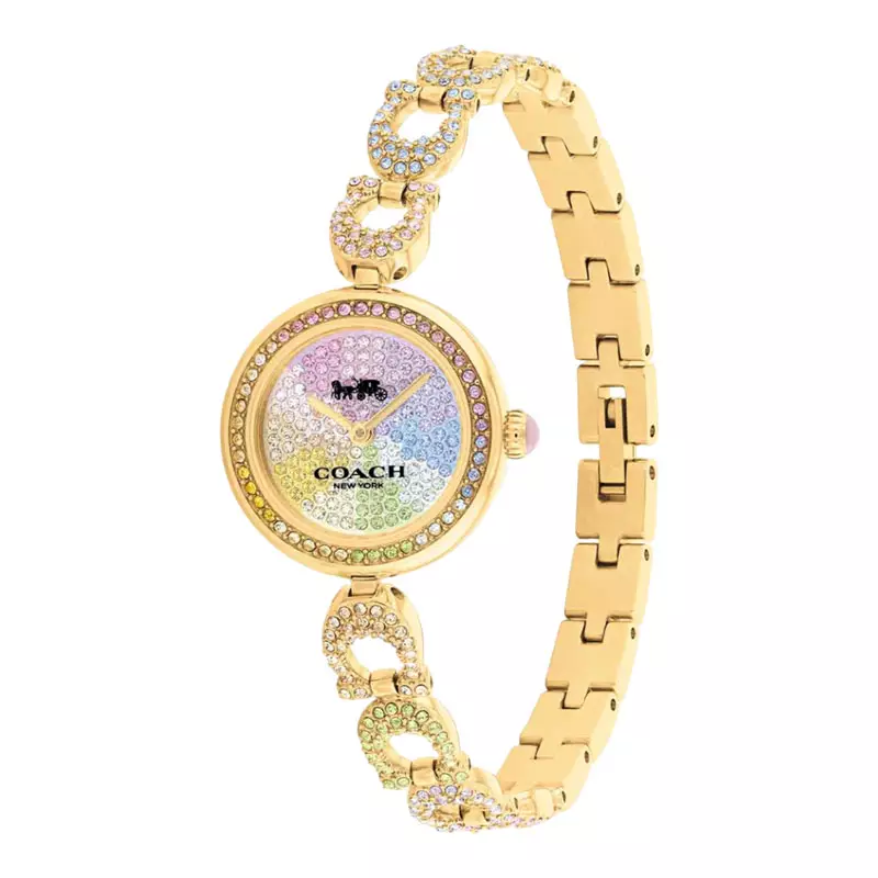 Jual COACH Jam Tangan Wanita Coach Gracie 14504220 Ladies Rainbow Dial ...