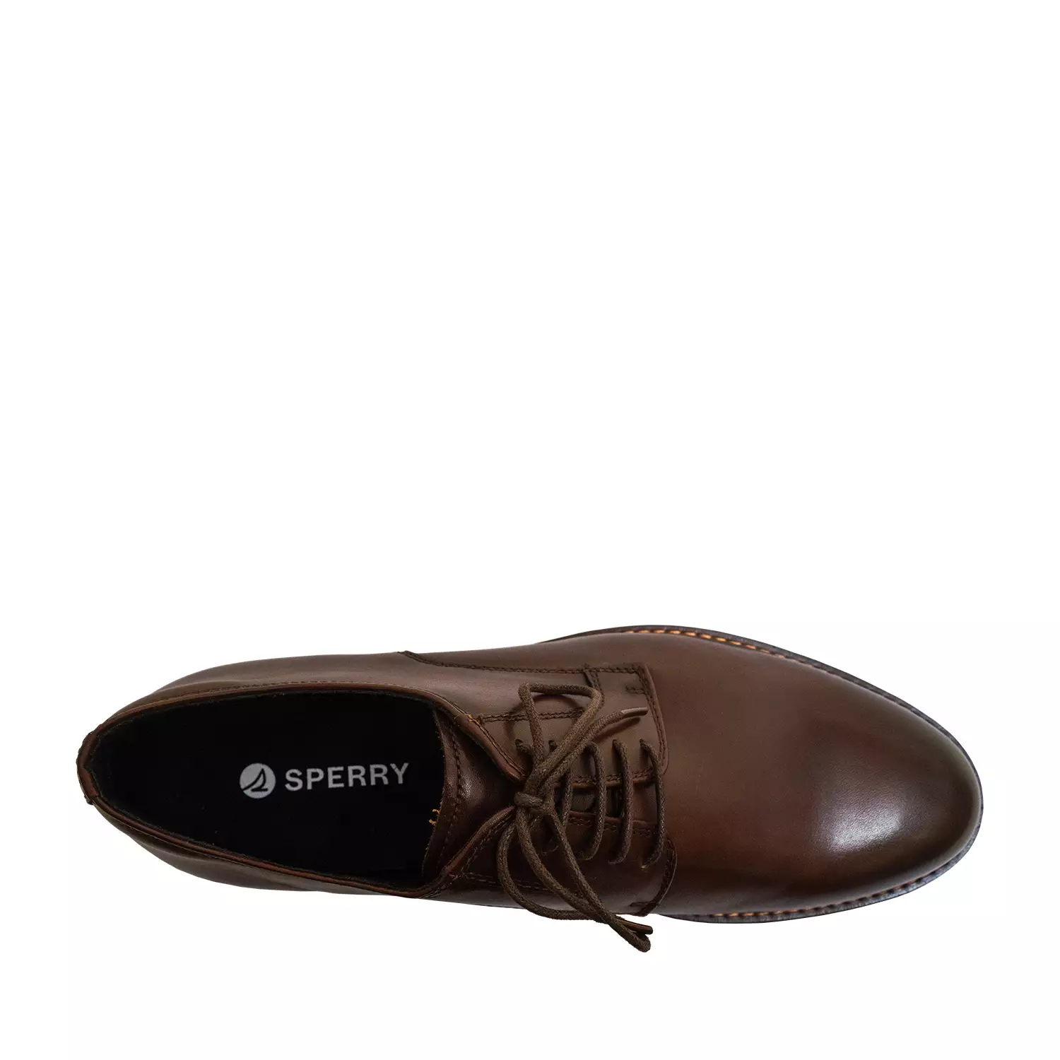 Buy Sperry Men's Seaport Oxford WR Casual Shoes - Dark Borwnm (25S00161 ...