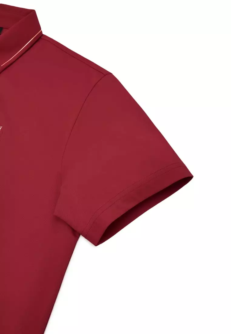 Buy G2000 G2000 Mercerized Cotton Pique Smart Fit Polo with Logo 2025 ...