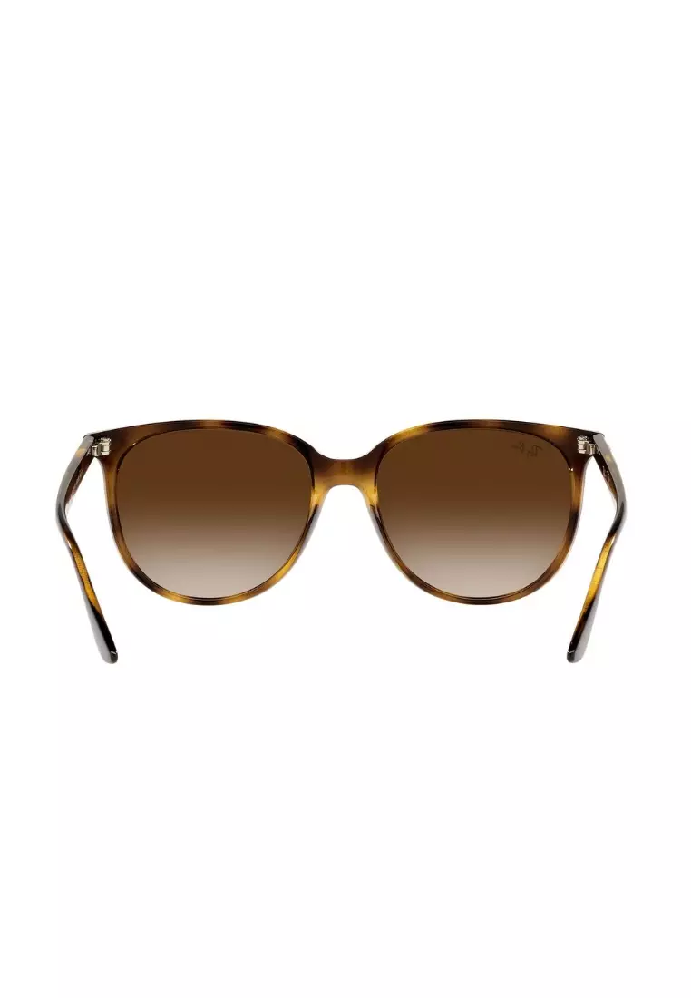 Buy Ray-Ban Ray-Ban Core - RB4378F 710/13 - Sunglasses 2025 Online ...