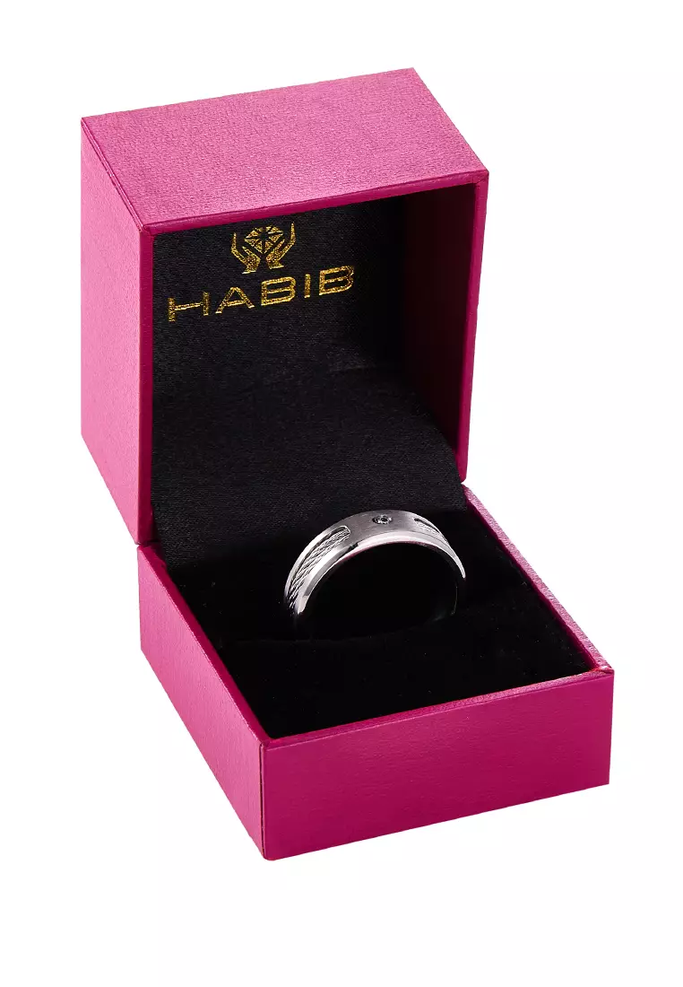 HABIB HABIB Flush Round Diamond Straight Band Men's Ring in Titanium ...
