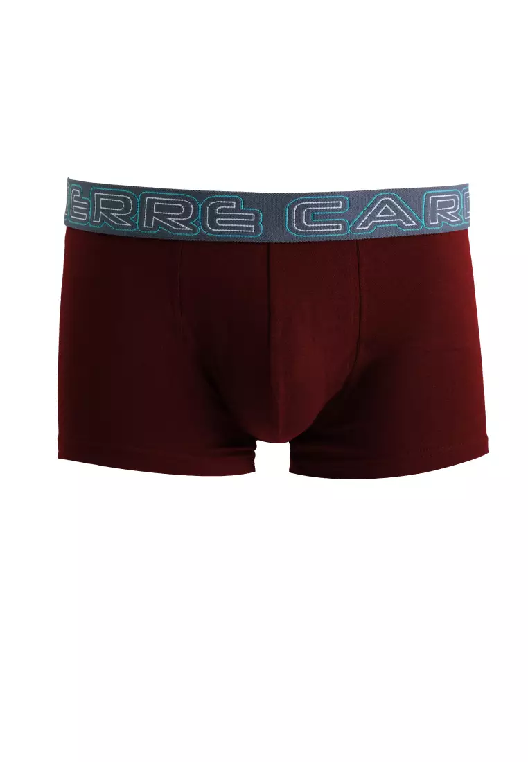 Buy Pierre Cardin PBT443-2S 2 Packs Plus Size Cotton Spandex Trunks ...