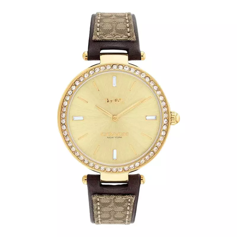 Jual Coach [YEAR END SALE] Jam Tangan Wanita Coach Park 14504092 ...