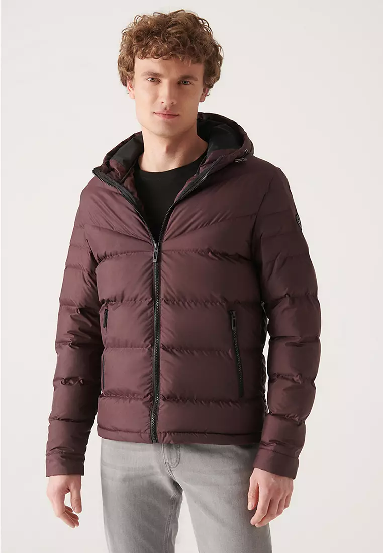 Buy Avva Water Repellent Hooded Puffer Jacket Online | ZALORA Malaysia