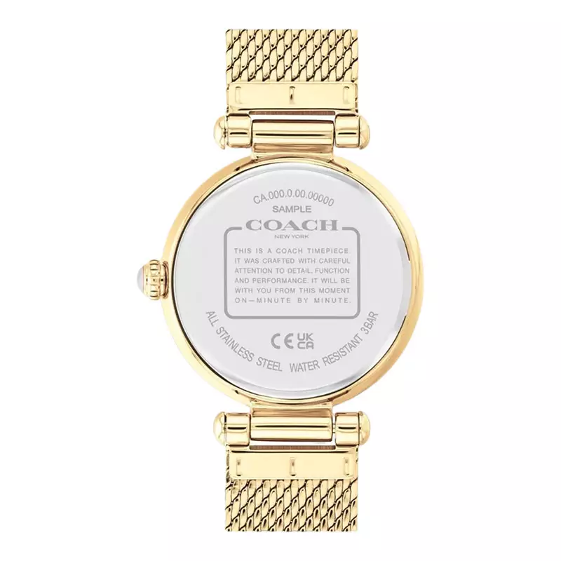 Jual Coach [YEAR END SALE] Jam Tangan Wanita Coach Cary 14503997 Ladies ...