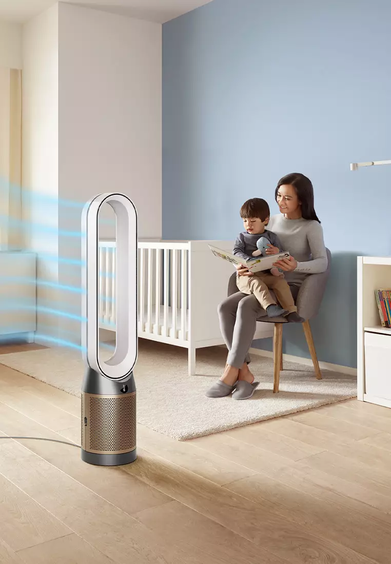 Buy Dyson Purifier Cool™ Formaldehyde Air Purifier Fan TP09 2025 Online ...