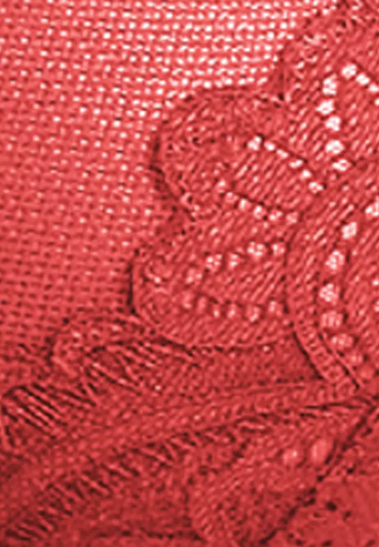 Sans Complexe Lyse Wired Half Cup Bra with Lace 2025 | Buy Sans ...