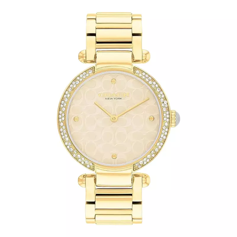 Jual Coach [YEAR END SALE] Jam Tangan Wanita Coach Cary 14504183 Ladies ...