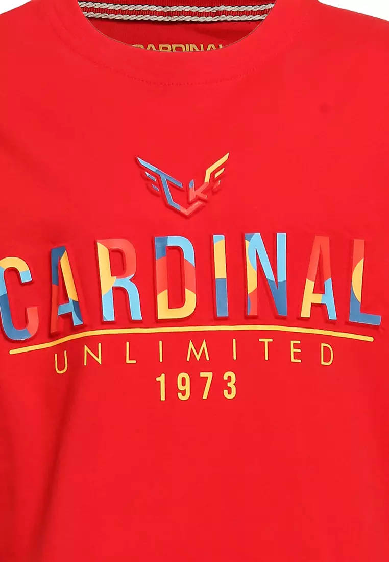 Jual Cardinal Kids Kaos Polos Graphis Original 2025 | ZALORA Indonesia