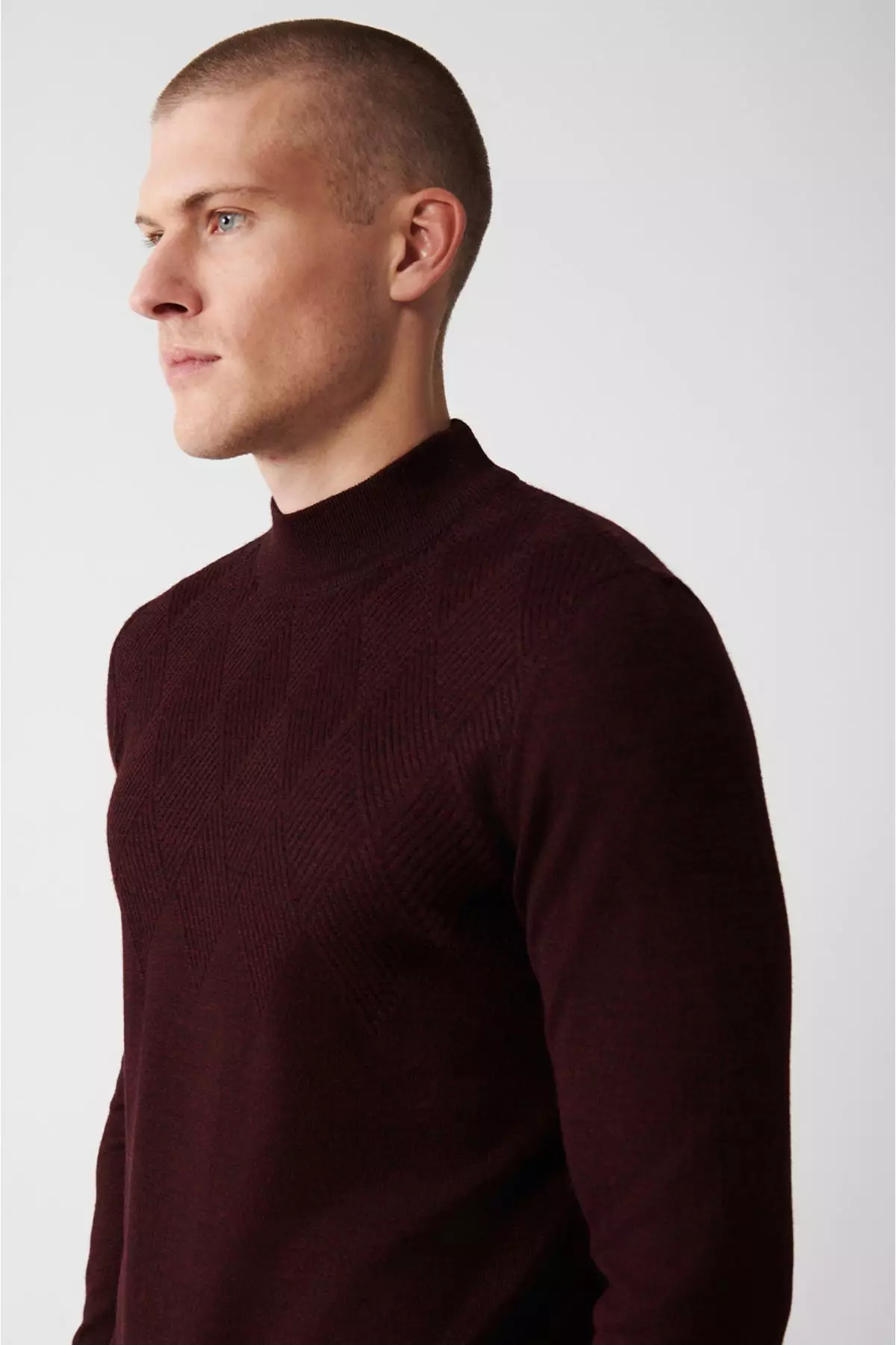 Avva Men's Burgundy Half Turtleneck Wool Blended Front Patterned ...
