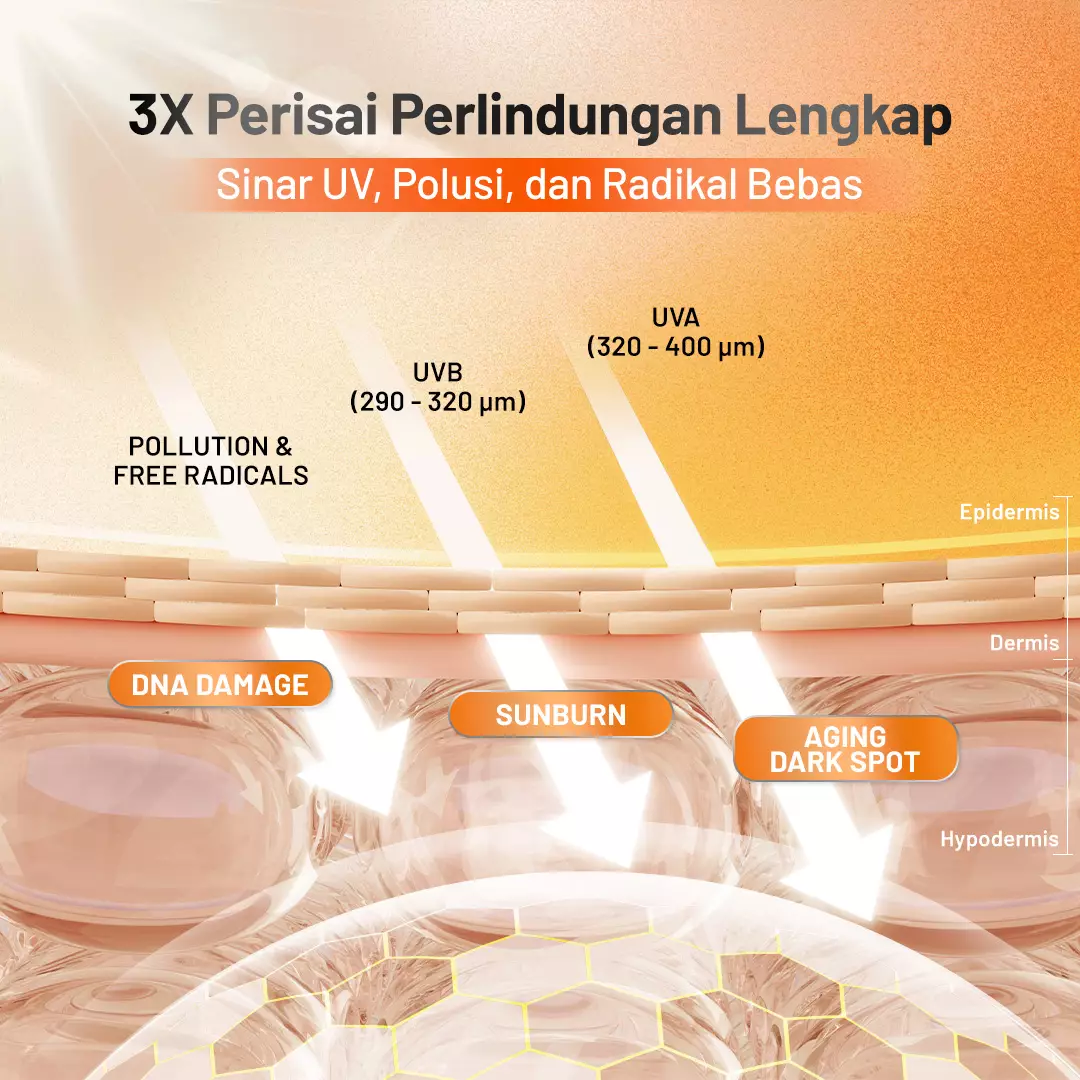 Jual Erha Erha Perfect Shield Helios Daily Sunscreen Spf50/Pa+++ Original 2023 | ZALORA Indonesia