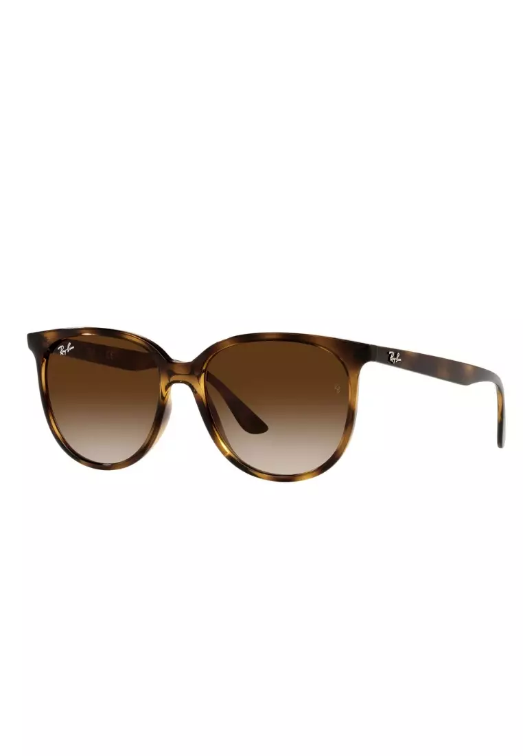 Buy Ray-Ban Ray-Ban Core - RB4378F 710/13 - Sunglasses 2025 Online ...