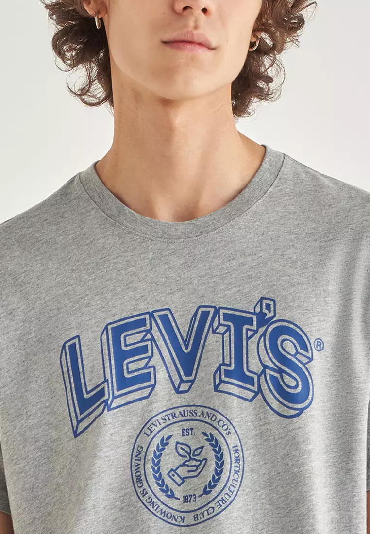 Buy Levi's Men's Relaxed Fit Short-Sleeve Graphic T-Shirt 16143-1391 ...