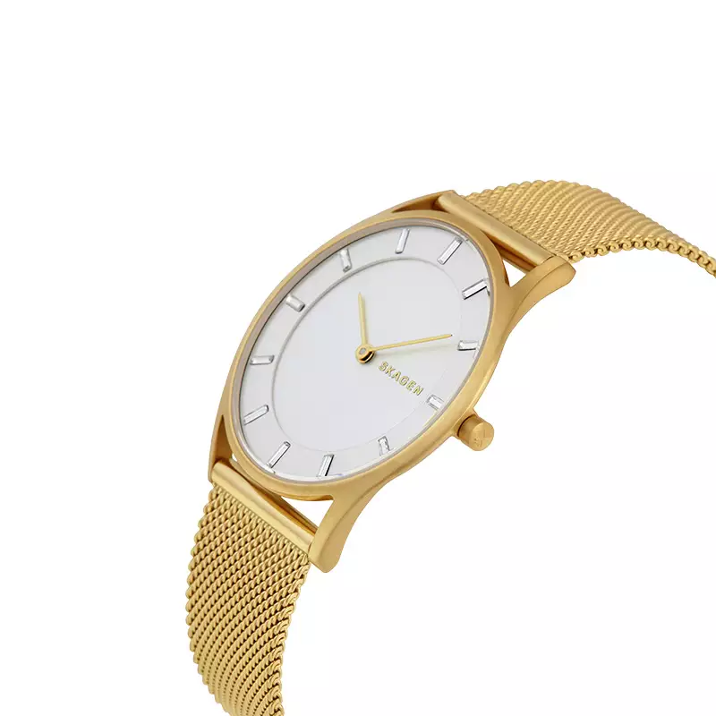 Jual SKAGEN [LAST CHANCE DEALS] Jam Tangan Wanita Skagen Holst SKW2377 ...