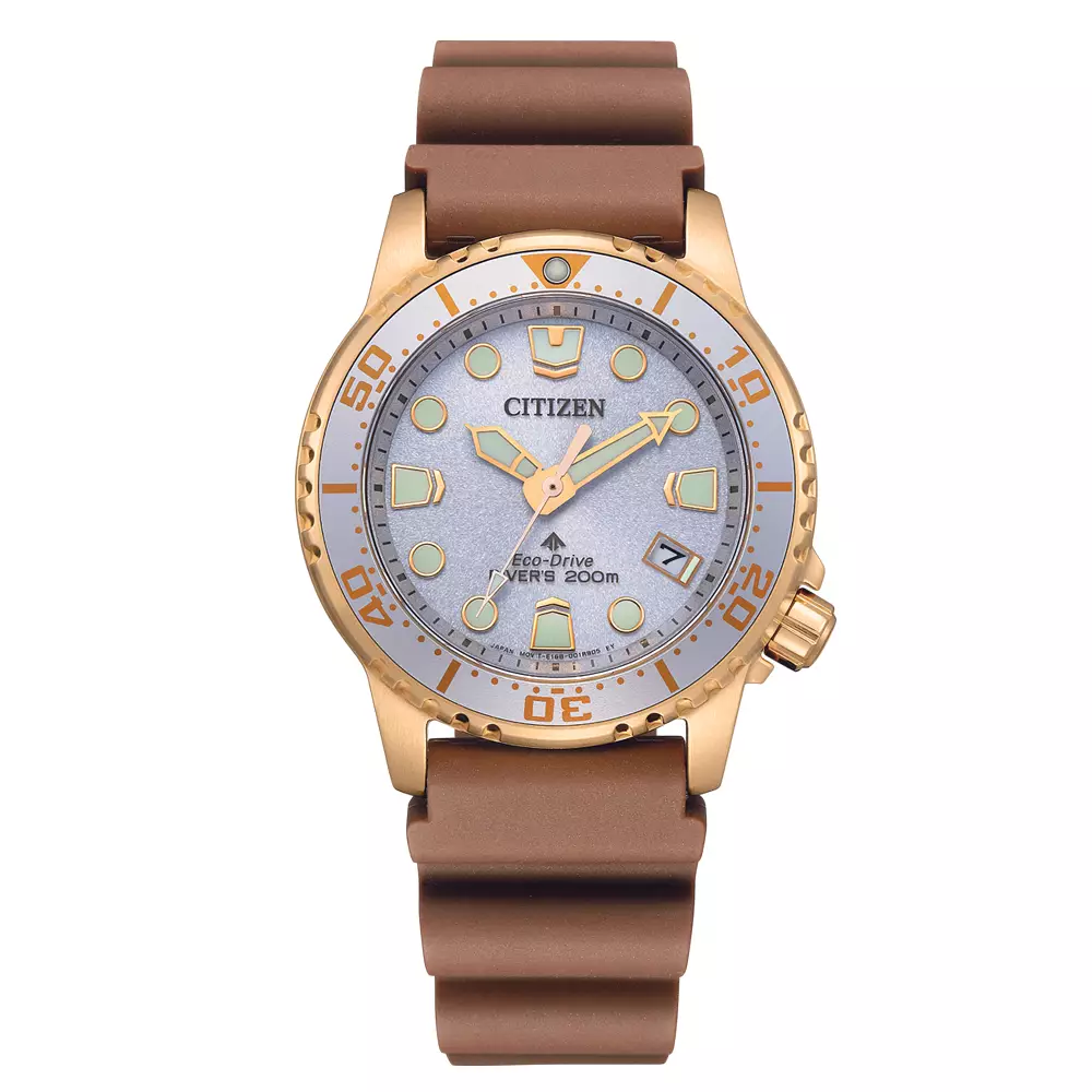 Jual Citizen Citizen Promaster EO2022-02A Diver Light Grey Dial Brown ...