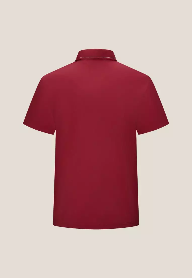 Buy G2000 G2000 Mercerized Cotton Pique Smart Fit Polo with Logo 2025 ...