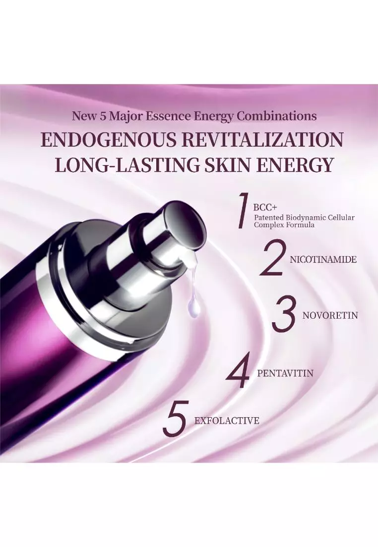 Buy Suisse Programme Suisse Programme Suisse Programme Advanced ...