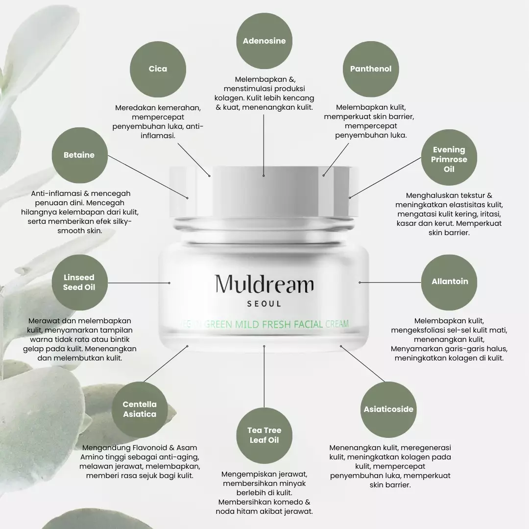 Jual Muldream Muldream Vegan Green Mild Fresh Facial Cream 60ml ...