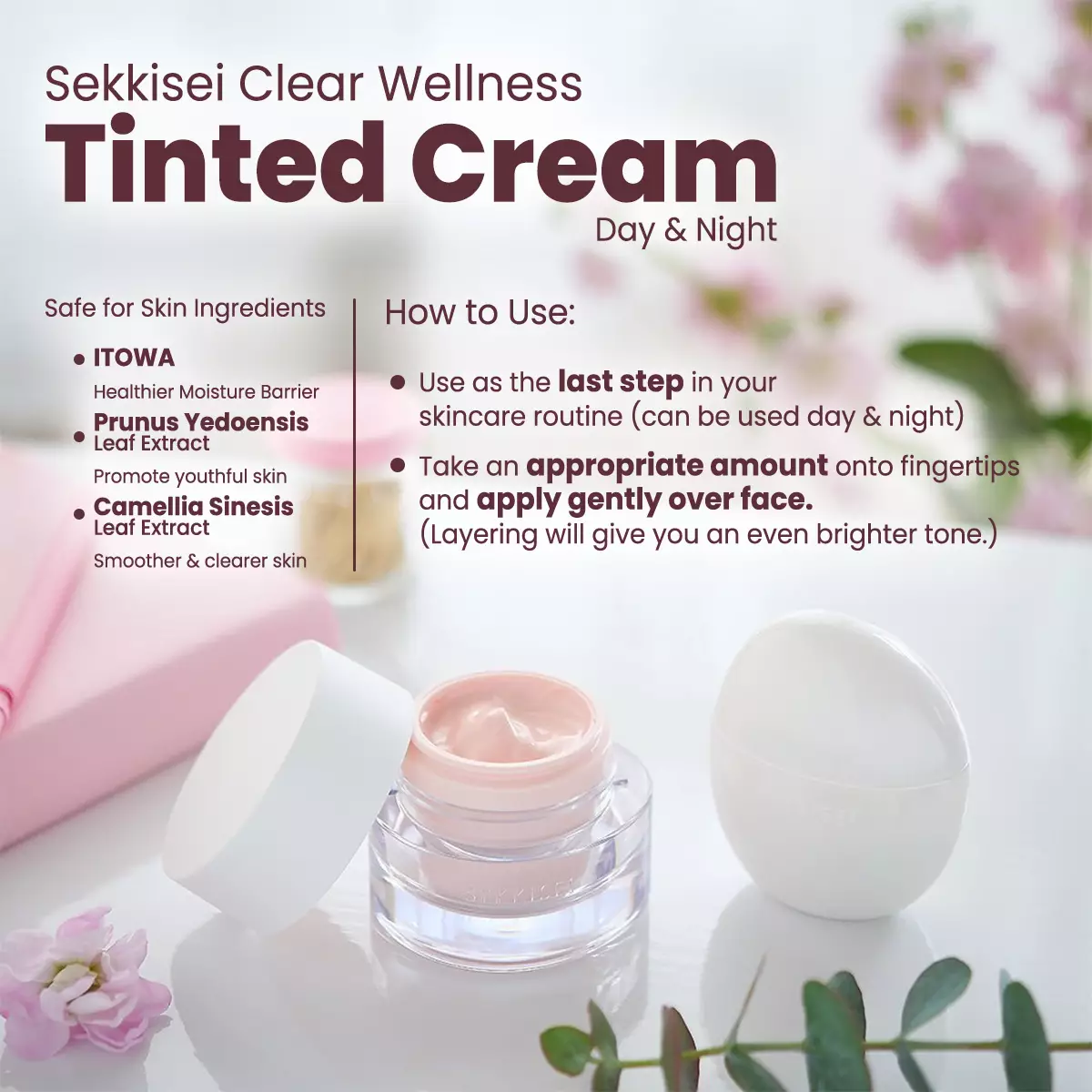 Jual KOSE KOSE Sekkisei Clear Wellness Tinted Cream Day & Night - 40ml ...