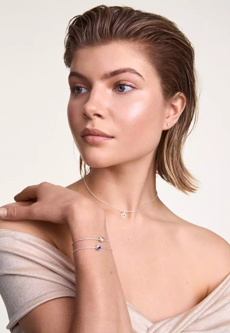 Jual Daniel Wellington Charms Snake Bracelet Sterling Silver - Unisex ...