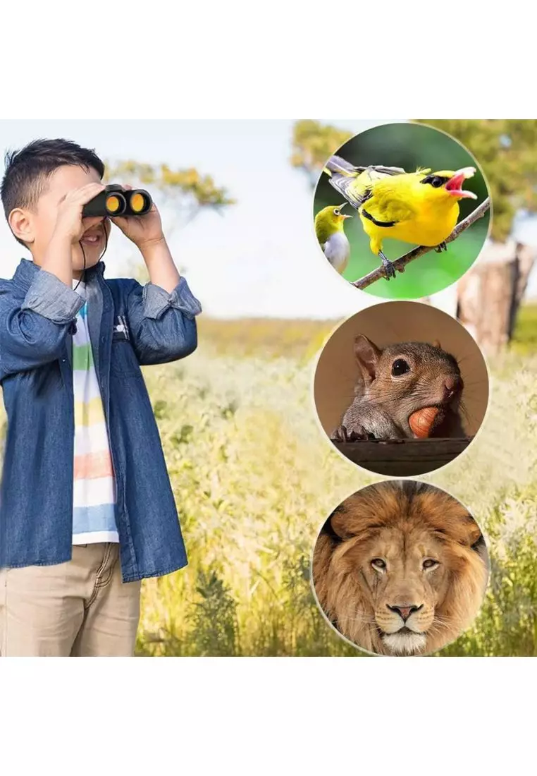 Buy MasterTool 30 x 60 Black Mini Binoculars Online | ZALORA Malaysia