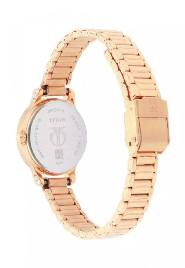 Buy Titan Titan Rose Gold Stainless Steel Watch For Women TTN2602WM01 ...
