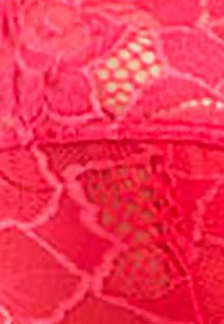 Sans Complexe Arum Trend Sheer Lace Longline Balconette Bra 2025 | Buy ...