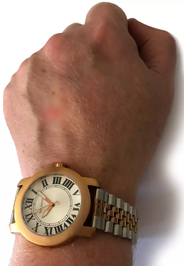 Buy EGLANTINE Emile Unisex Rose Gold Plated Steel Quartz Watch, 12 ...