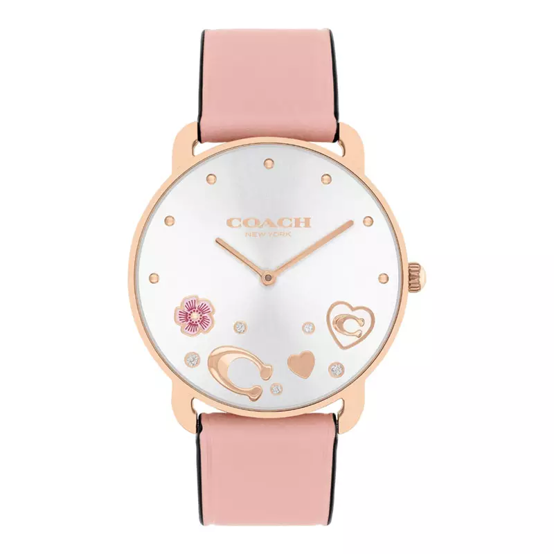Jual Coach Jam Tangan Wanita Coach Elliot 14504295 Ladies Silver Dial ...