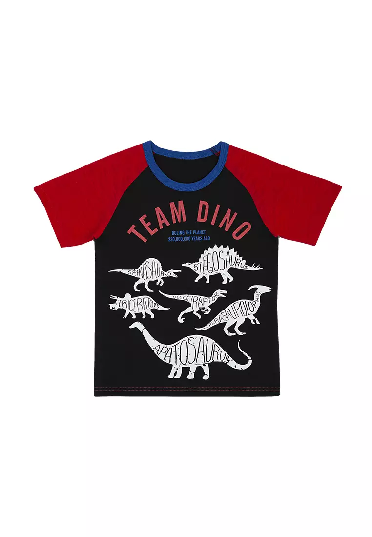 Jual Torio TORIO Basic T-Shirt Dinosaurus Team - Baju Atasan Anak Laki ...