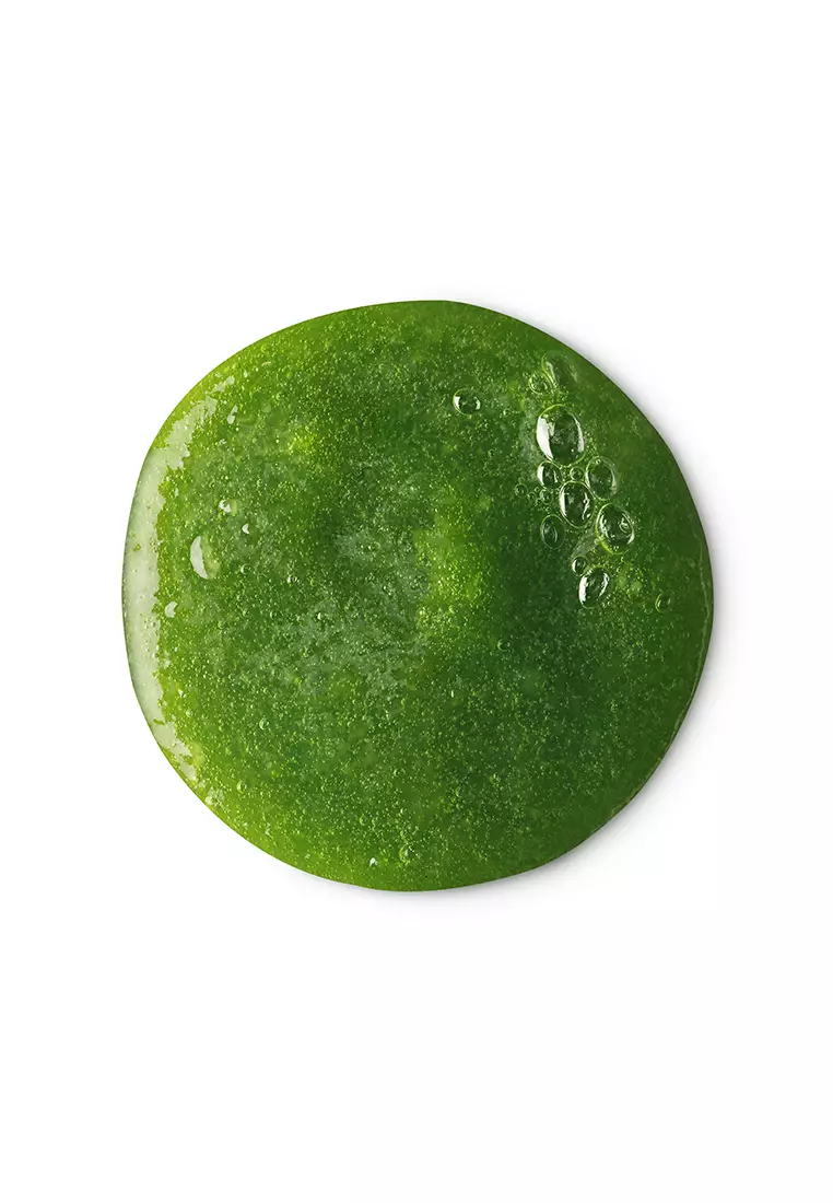Buy Lush Fresh Handmade Cosmetics Wasabi Shan Kui Shampoo 100g 2024