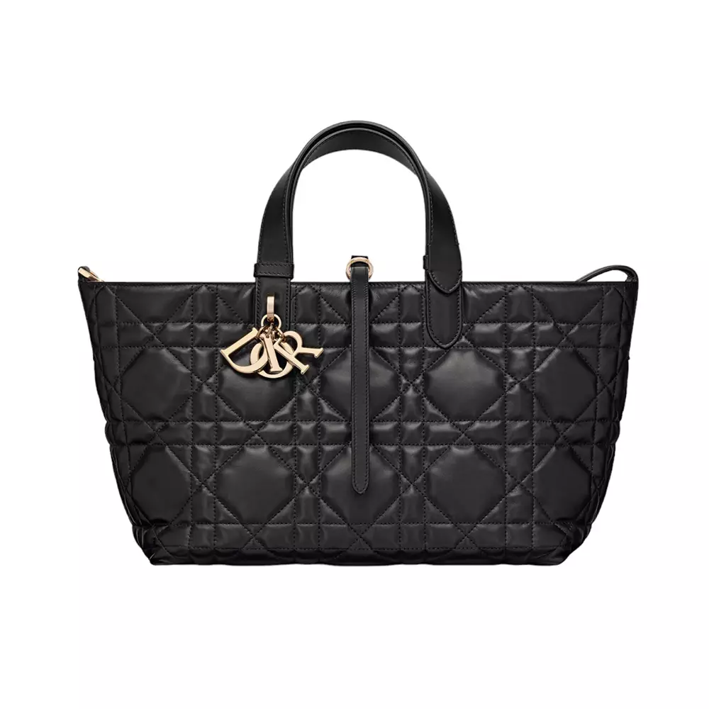 Jual Tas Christian Dior Original Juni 2024 | ZALORA Indonesia