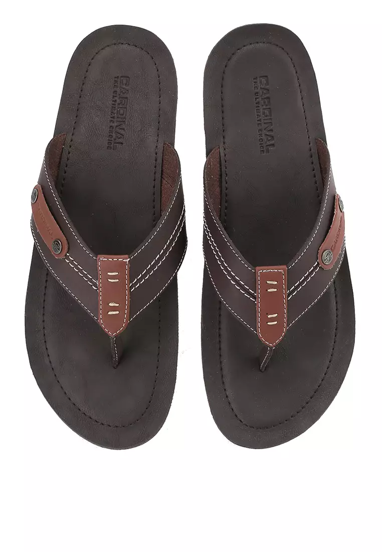 Jual Cardinal PLUTO 2 Original 2024 | ZALORA Indonesia