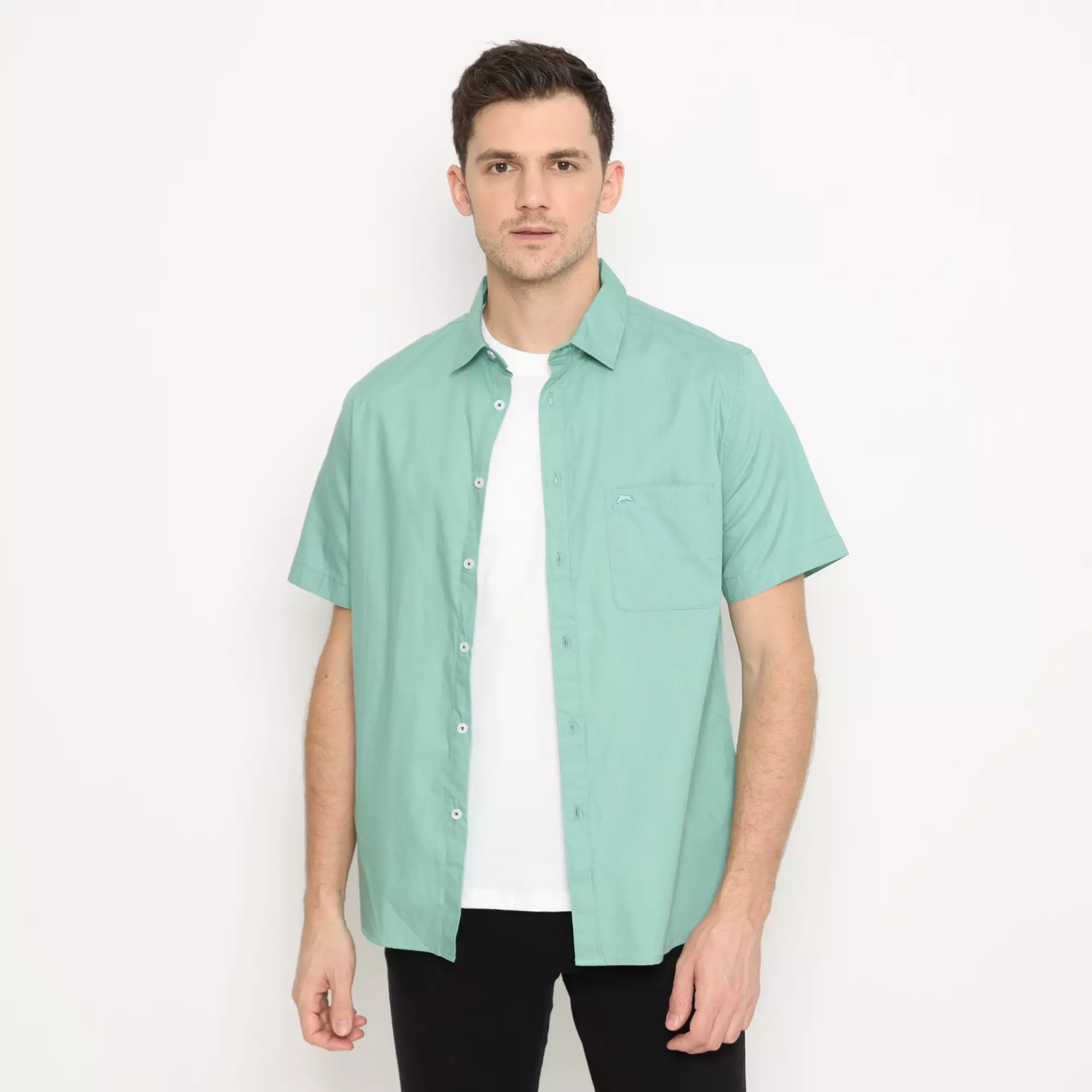 Jual Ricardo RICARDO Big Size Kemeja Pria Lengan Pendek Polos Hijau ...