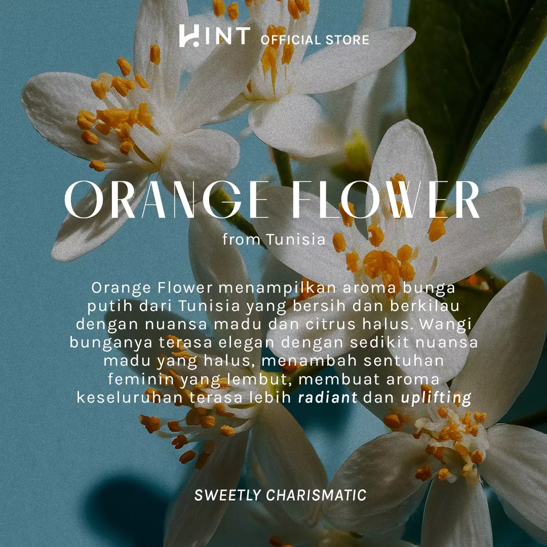 Jual Hint [NEW LAUNCHING] HINT Cherise Extrait de Parfum - Unisex ...