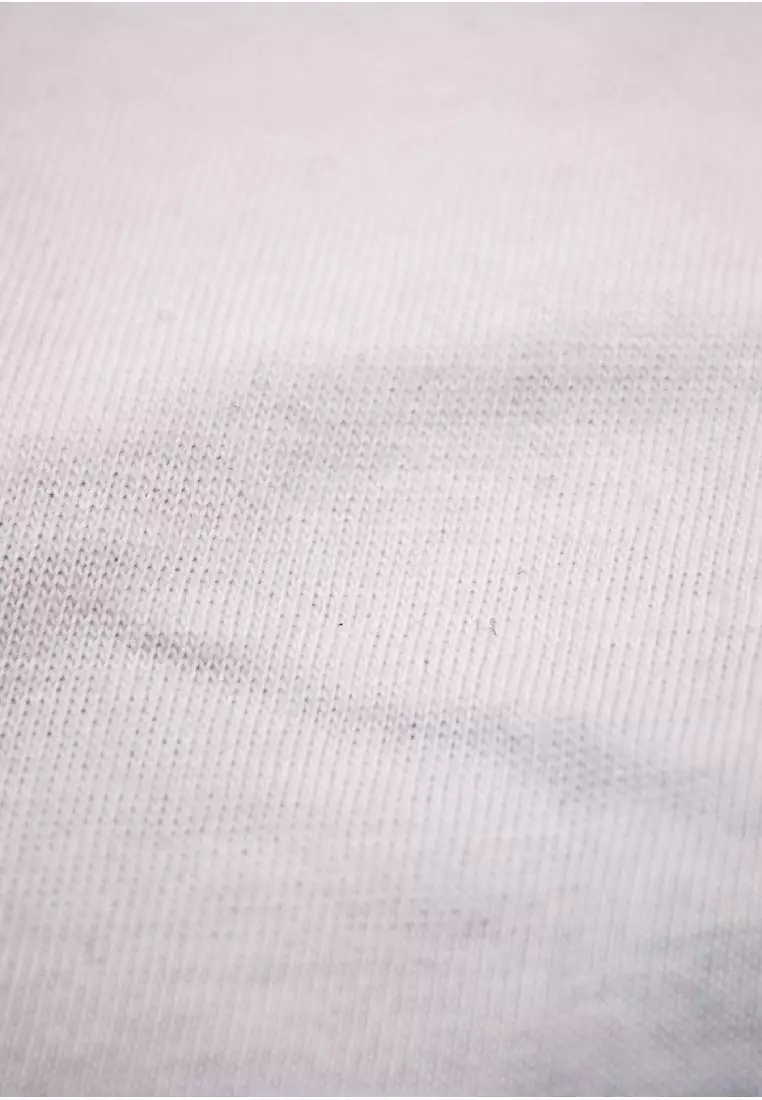 Buy Biofresh Men's Antimicrobial Cotton Classic Regular Fit Roundneck ...