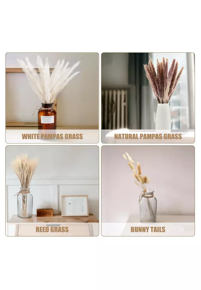 Buy Kings Collection 85pcs Natural Dried Pampas Grass Fluffy Pompous ...