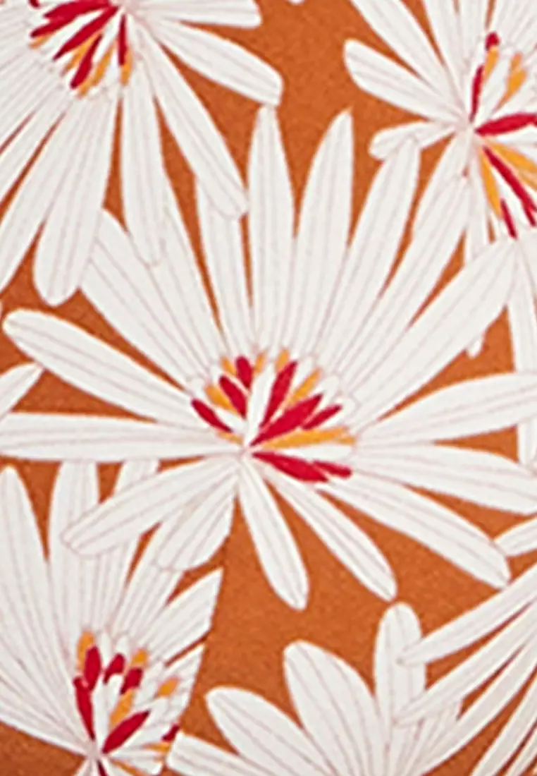 Buy Sans Complexe Zoé Triangle Cup Wired Plunge Bra 2025 Online | ZALORA