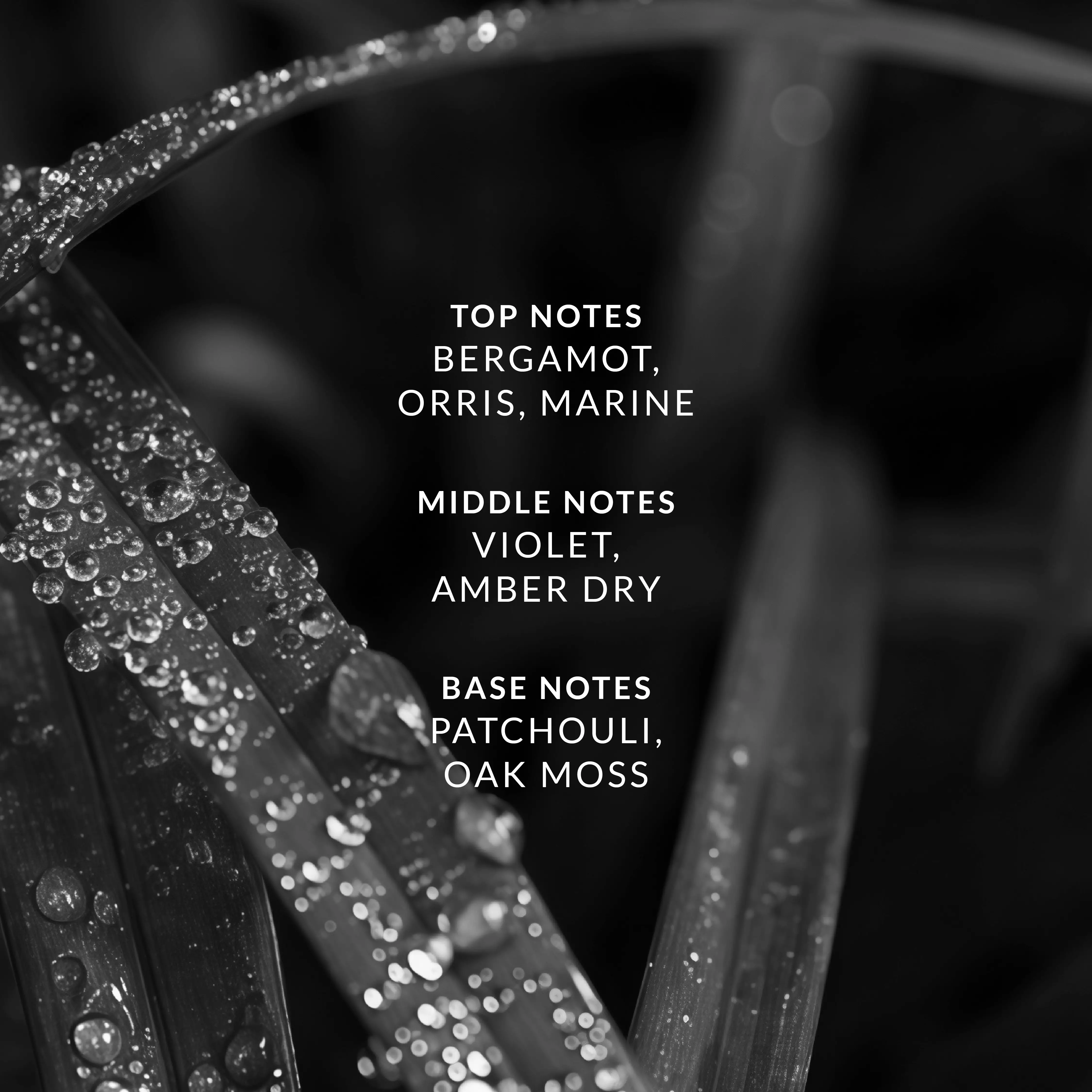 Jual Clone Clone You EDP (Inspired by YSL Y) - 60 ML (Parfum Pria ...