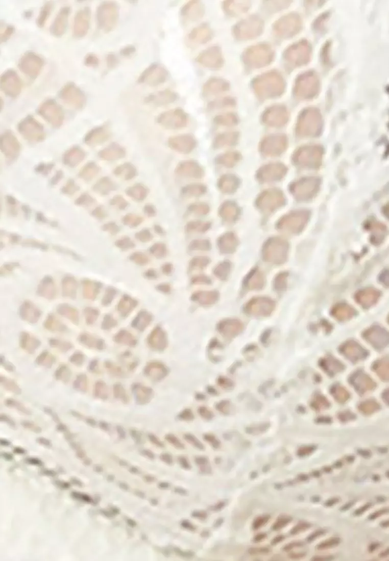 Buy Sans Complexe Ariane Full Cup Underwired Lace Bra 2025 Online | ZALORA