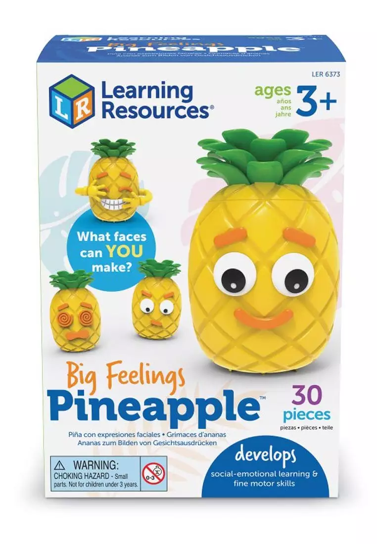 Buy Learning Resources Big Feelings Pineapple - Social Emotional ...
