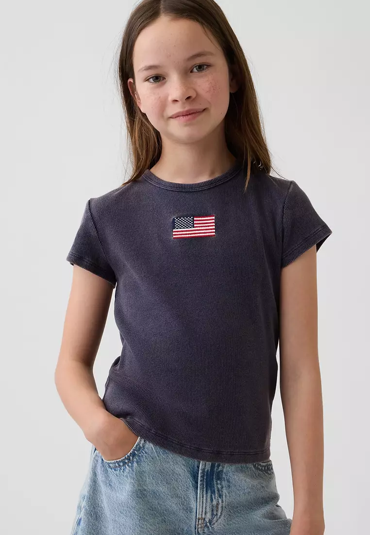 Jual GAP Embroidered Rib T-Shirt Original 2026 | ZALORA Indonesia