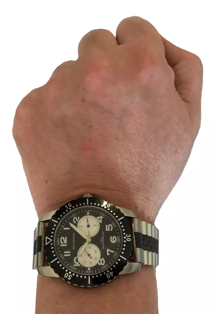 Buy EGLANTINE Terrenz Unisex Steel Quartz Watch, Black Dial, Steel and ...