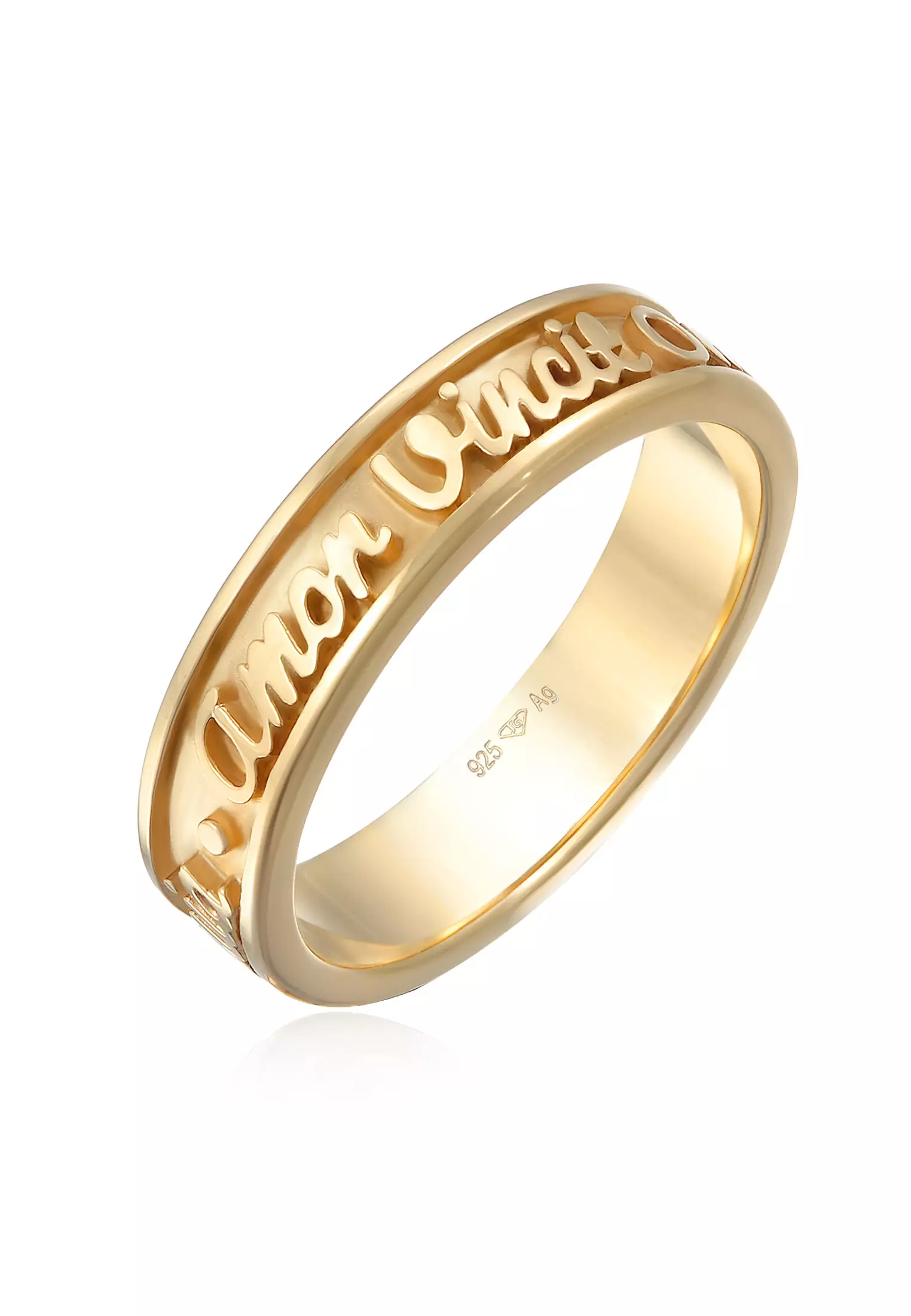 Buy ELLI GERMANY Amor Vincit Omnia Ring – Gold-Plated Silver 2026 ...