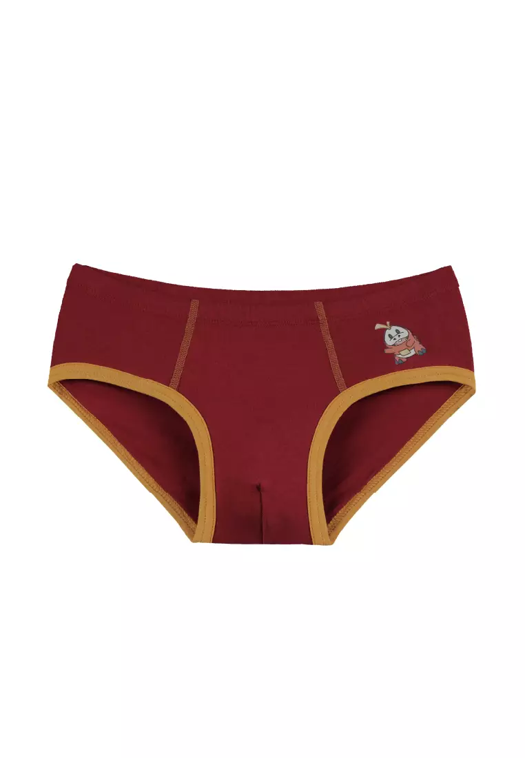 Buy Biofresh Boys’ Antimicrobial Cotton Bikini Brief 3 pieces in a pack ...