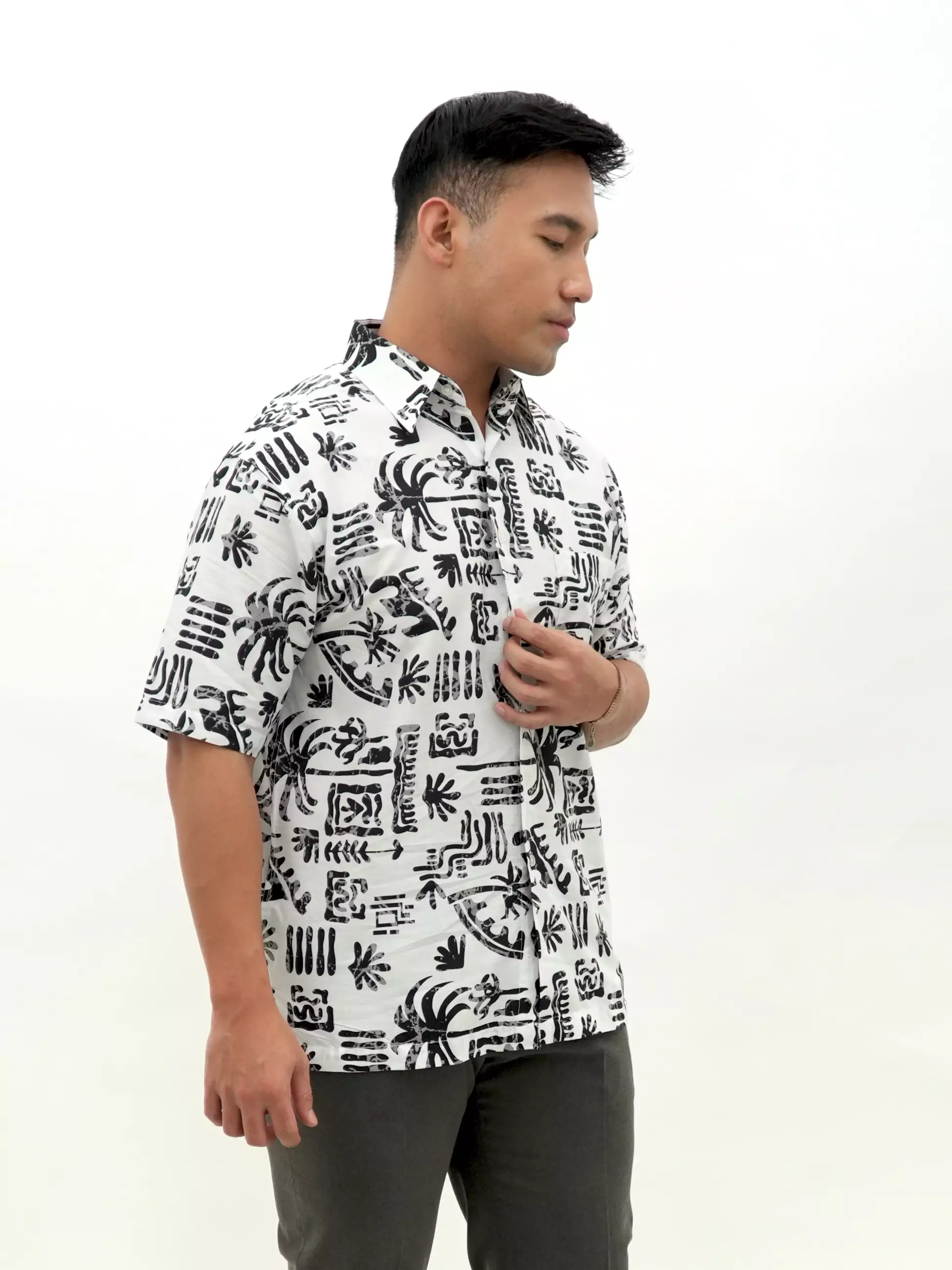 Jual Andre Michel Kemeja Lengan Pendek Putih Motif 16834 Original 2026 ...